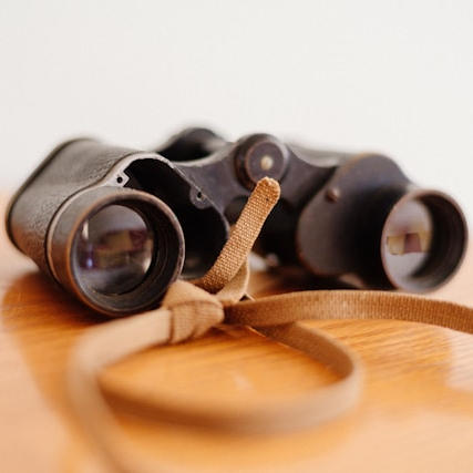 Year 4 Working systematically | NRICH